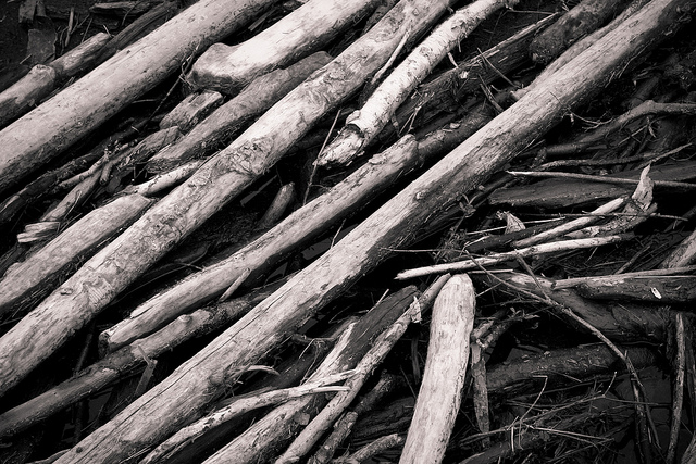 Attack of the week: Logjam – A Few Thoughts on Cryptographic Engineering