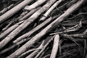 Attack of the week: Logjam – A Few Thoughts on Cryptographic Engineering